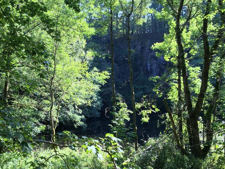 Schwarze Nister - Nisterau, Bad Marienberg (Westerwald) | Mountain ...