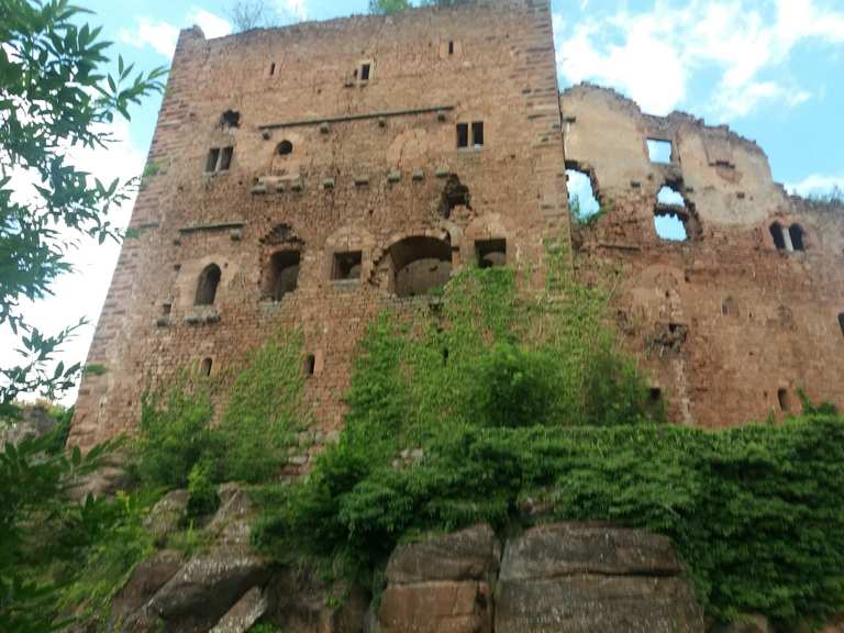 Château d'Ottrott: Wanderungen und Rundwege | komoot