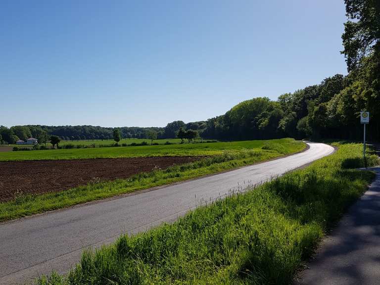 Radweg auf der alten Bahntrasse: Radtouren und Radwege | komoot