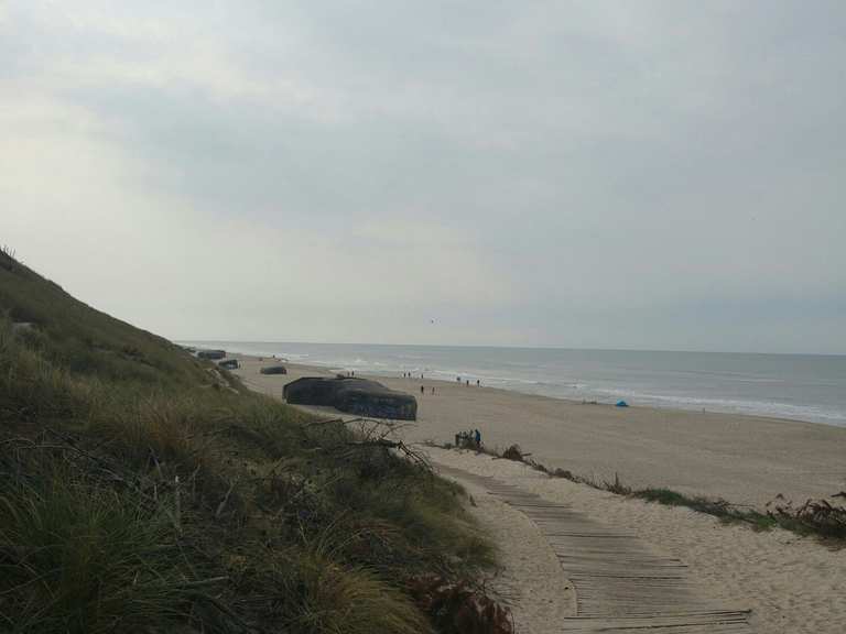 Sondervig Strand Routes for Walking and Hiking | Komoot