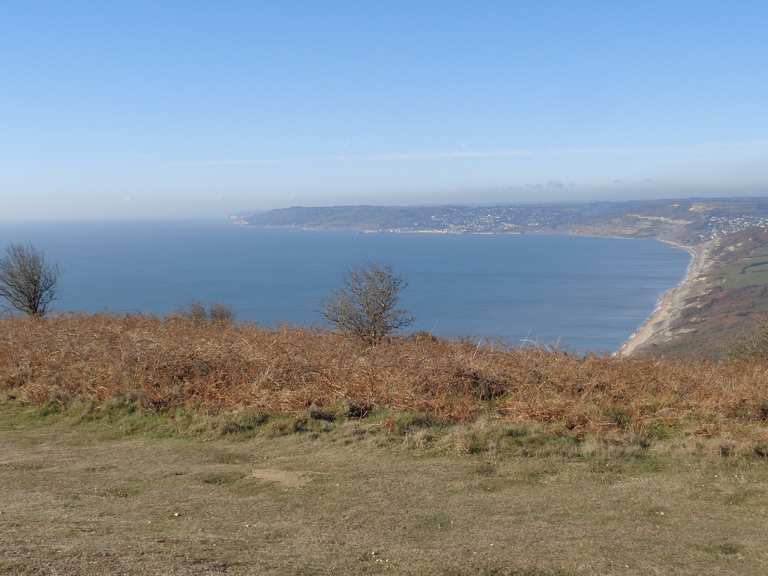 Golden Cap Routes for Walking and Hiking | Komoot