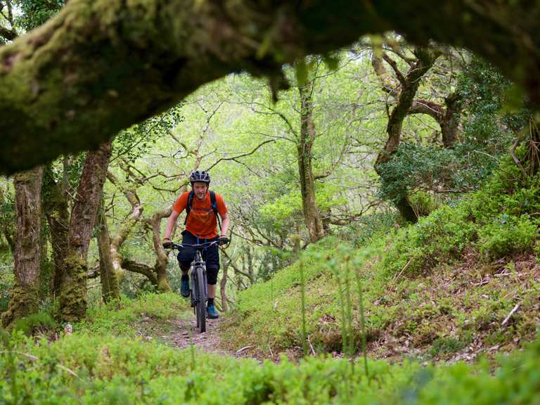 Selworthy, Horner Woods & Periton Hill loop from Minehead — Exmoor ...