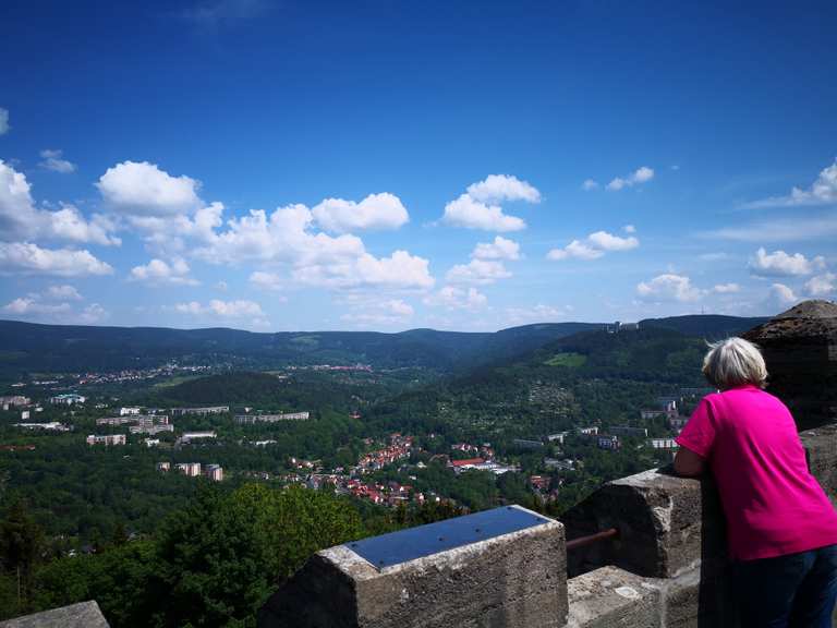 Domberg mit Bismarckturm: Wanderungen und Rundwege | komoot
