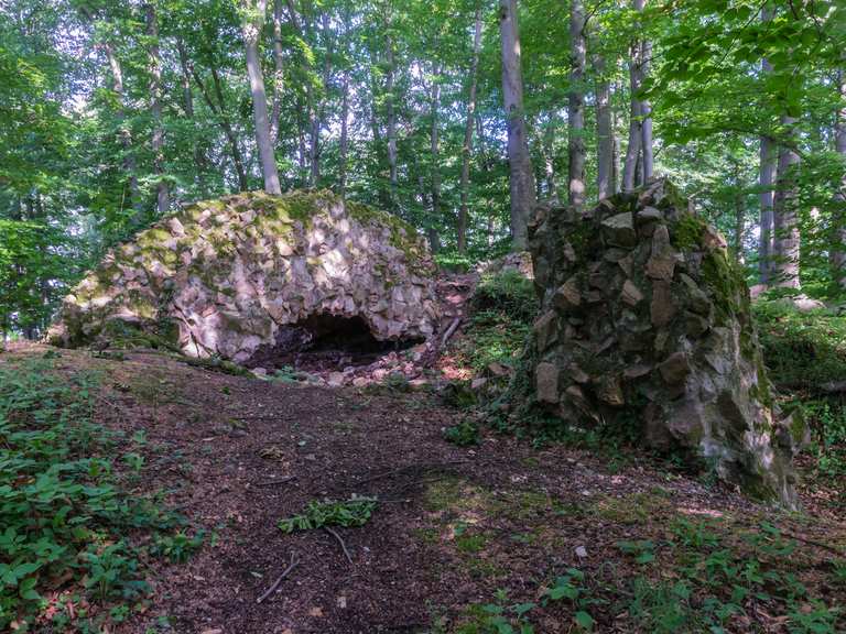 Ruine Hirschburg: Wanderungen und Rundwege | komoot