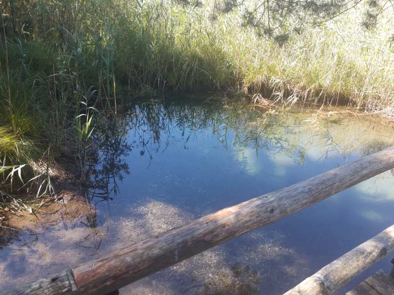 Blaue Gumpe: Wanderungen und Rundwege | komoot