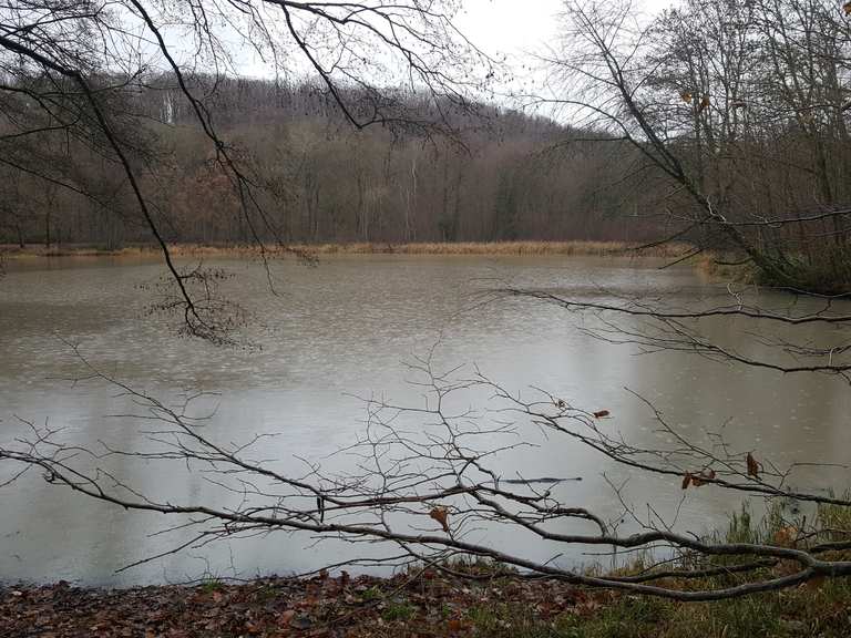 Annasee Routes for Walking and Hiking | Komoot