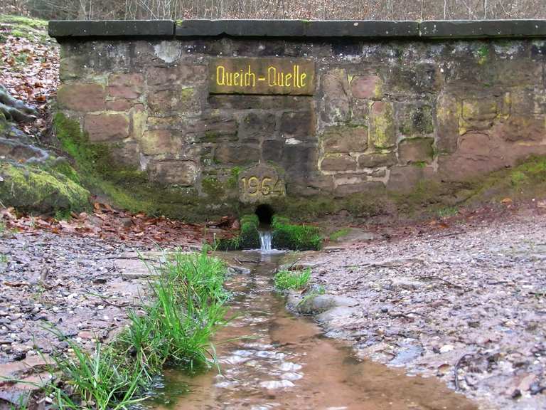 Queich-Quelle (Ritterstein Nr. 214: „Queich-Ursprung“): Wanderungen und ...