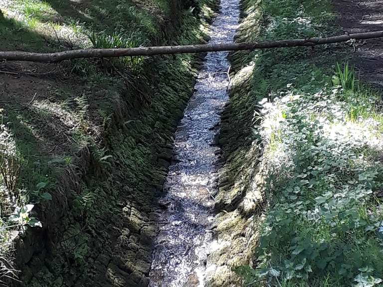 Entwistle Reservoir Routes for Walking and Hiking | Komoot