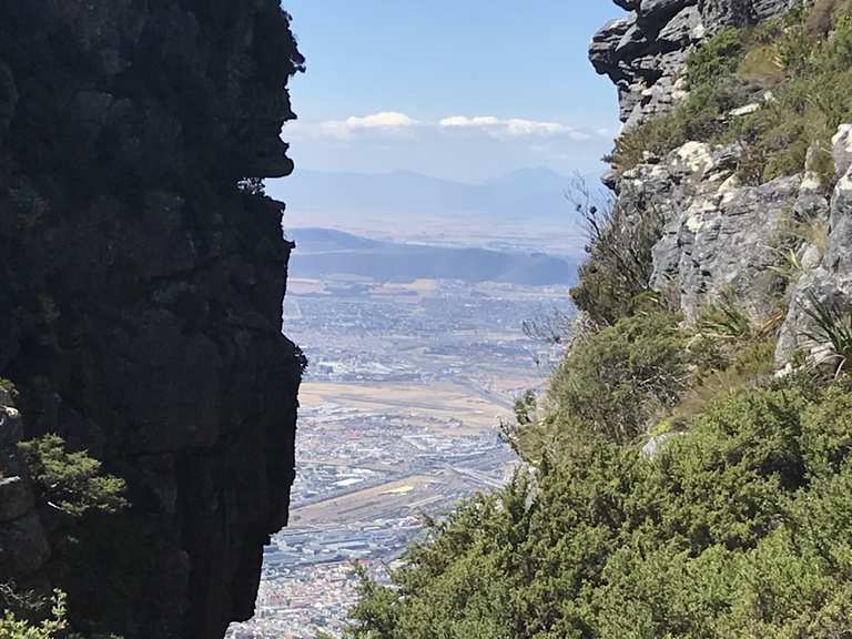 Table Mountain Routes for Walking and Hiking | Komoot
