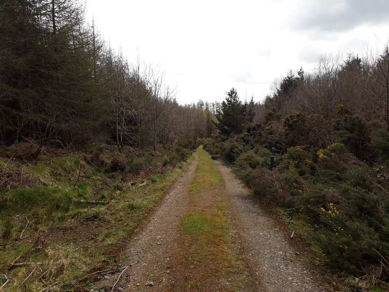 Slieve Bloom Mountain Region - Laois, Ireland | Hiking Segment | Komoot