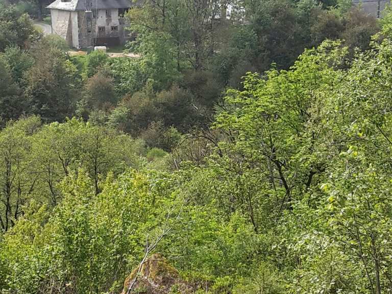 Kloster Reichenstein Routes for Walking and Hiking | Komoot