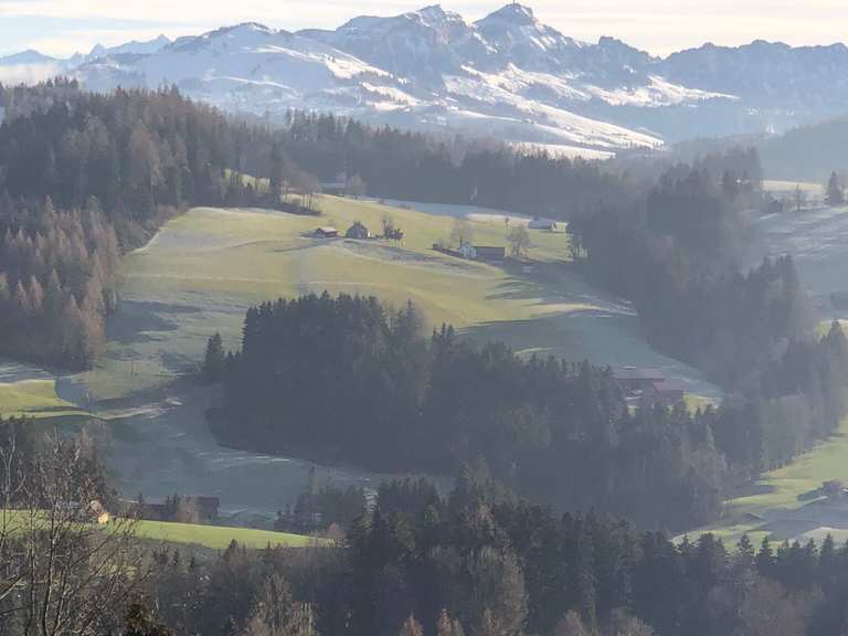 Erlebnisort Waldegg: Wanderungen und Rundwege | komoot