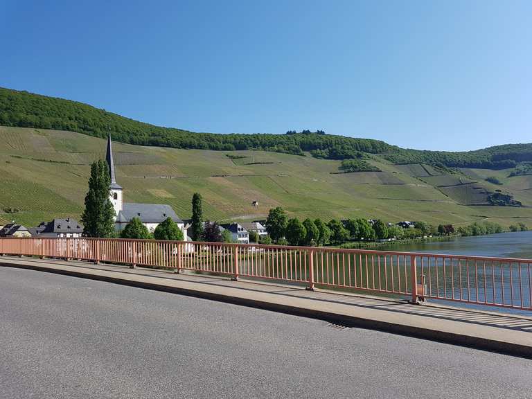 Moselbrücke Piesport - Cycle Routes and Map | Komoot
