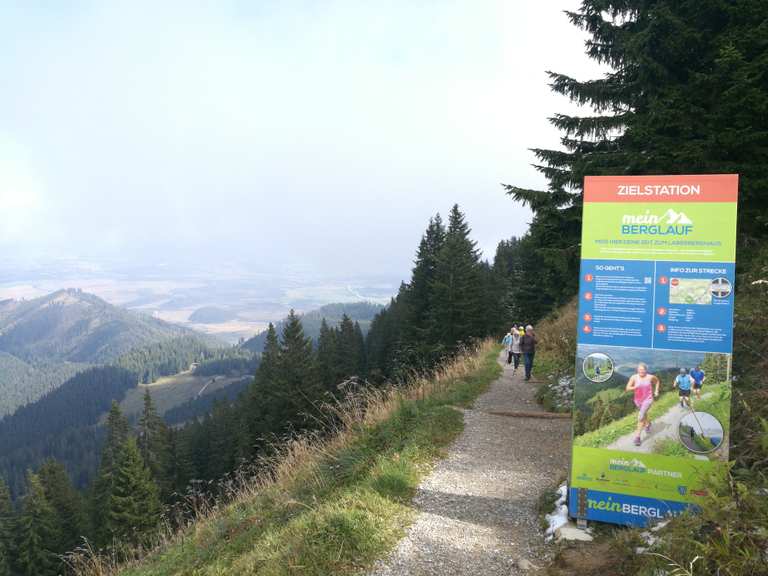 Laber Berg Routes for Walking and Hiking | Komoot