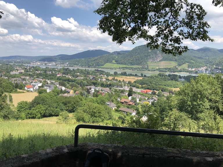 Naturschutzgebiet Rodderberg Routes for Walking and Hiking | Komoot