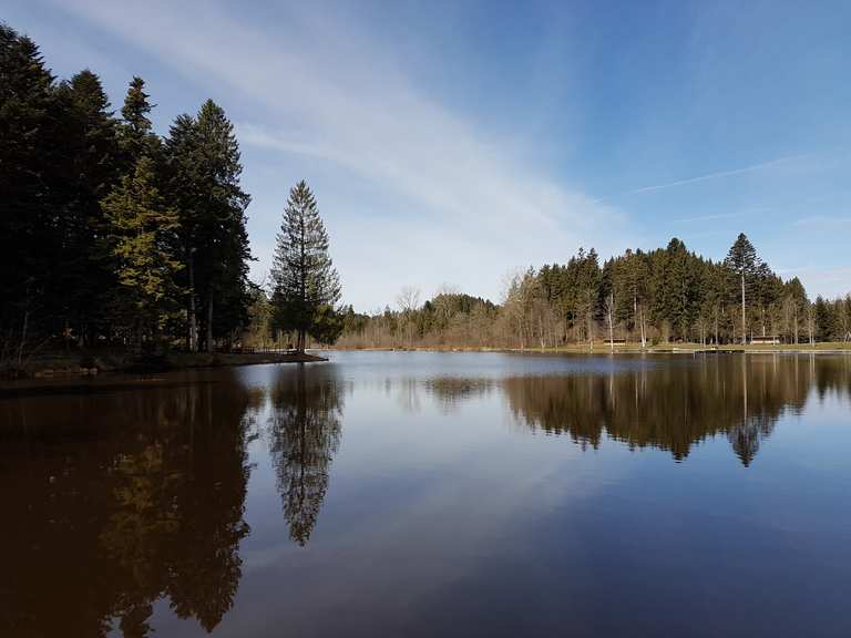 Waldsee bei Lindenberg - Lindenberg im Allgäu, Lindau (Bodensee ...