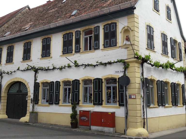 Altstadt Freinsheim : Radtouren und Radwege | komoot