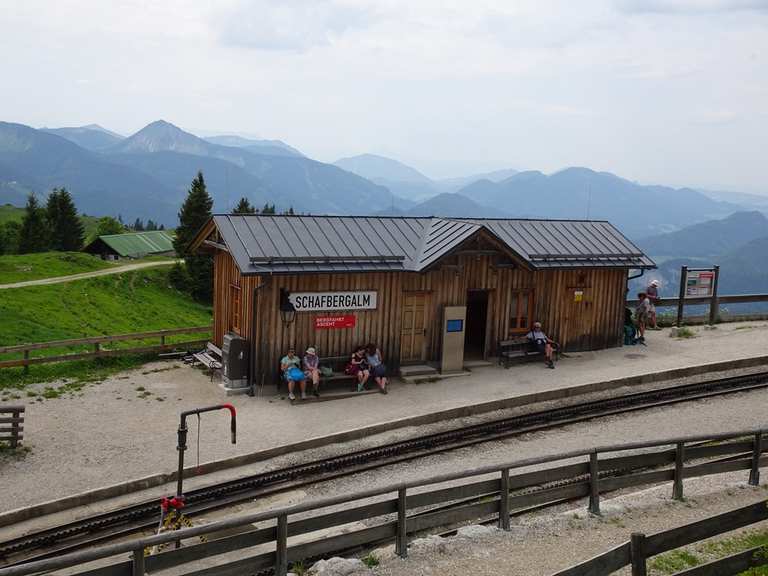 Schafbergalm – Station der Bergbahn: Wanderungen und Rundwege | komoot