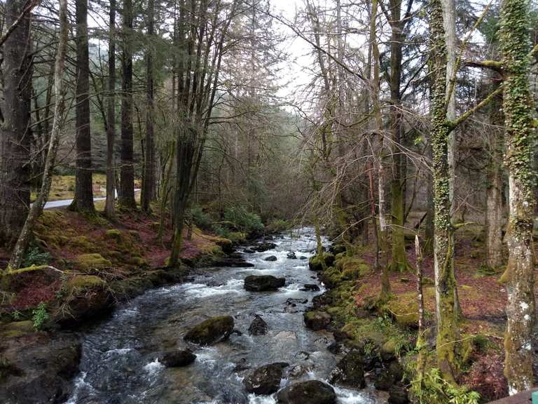 Ardgartan Routes for Walking and Hiking | Komoot