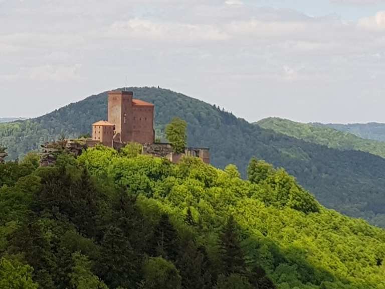 Burg Scharfenberg (Münz) Routes for Walking and Hiking | Komoot