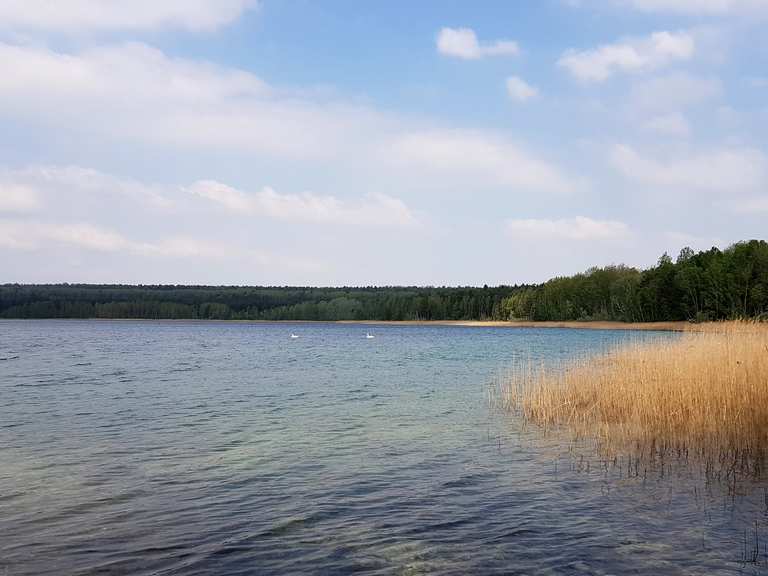 Katjasee - Routes for Walking and Hiking | Komoot