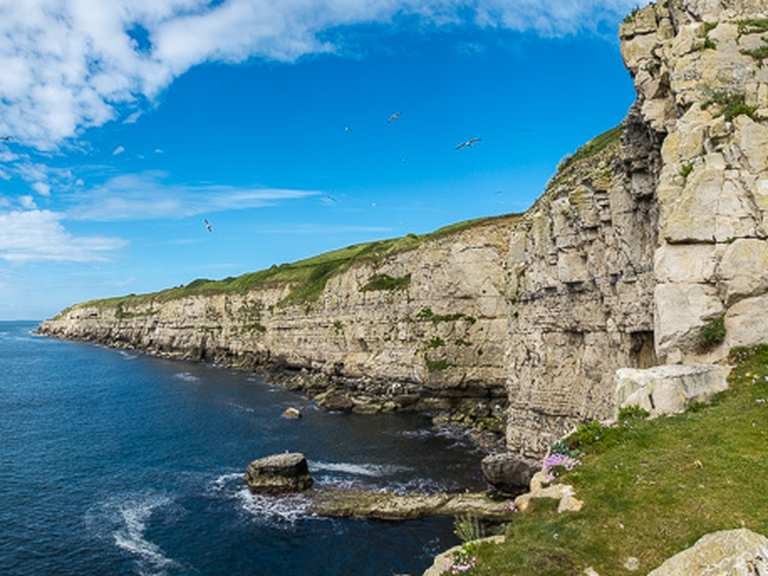 Seacombe Cliff Routes for Walking and Hiking | Komoot