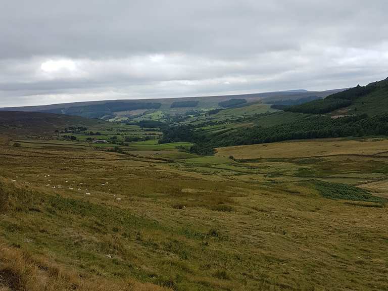 Cold Moor Routes for Walking and Hiking | Komoot