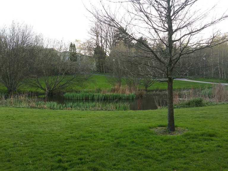 University College Dublin en Devlin Park Loop | wandeling | Komoot
