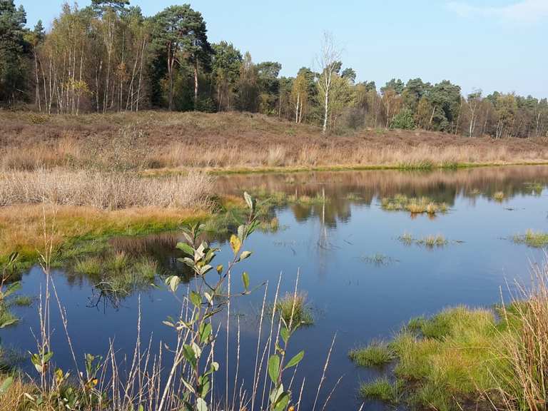 Maasduinen Reindersmeer Routes for Walking and Hiking | Komoot