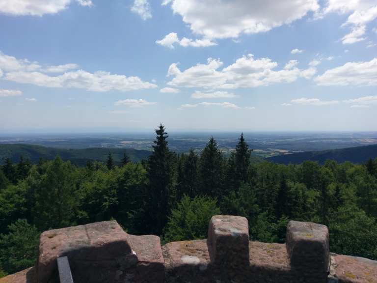 Grand Wintersberg - Itinéraires de rando et marche | Komoot