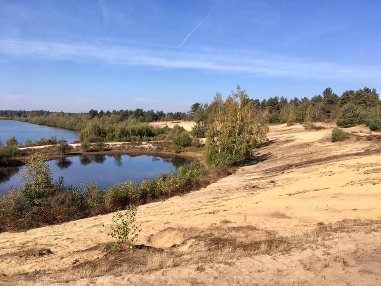 Maasduinen Reindersmeer wandelroutes en hikes | Komoot