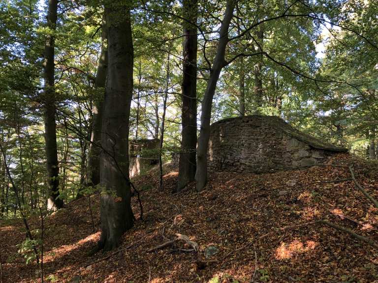 Burgruine Rodenberg Routes for Walking and Hiking | Komoot