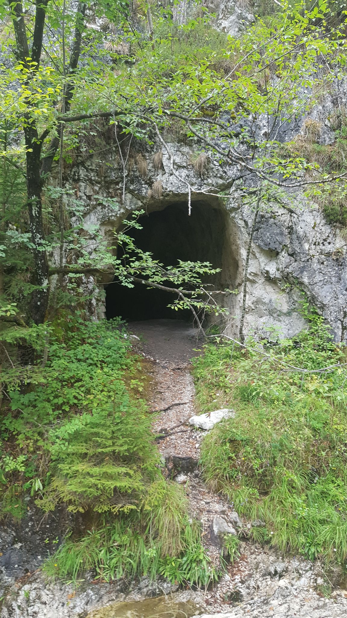 Einzigartig abgeschieden – Fernwandern auf dem Juliana Trail | Wander ...