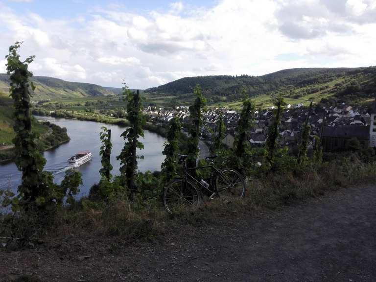 Bremmer Calmont - steilstes Weinanbaugebiet Europas - Cycle Routes and ...