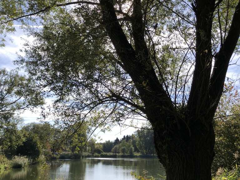 Ochsensee in Schlangen - Mountain Bike Trails & Tracks | Komoot