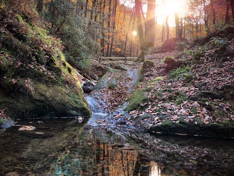 Petite cascade sur le Ninglinspo - Itinéraires de rando et marche | Komoot