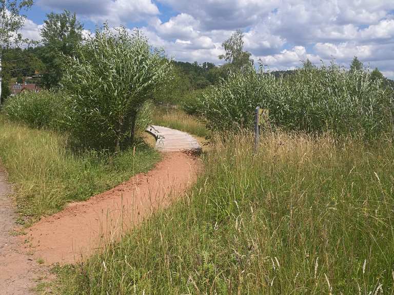 Barfußpfad Routes for Walking and Hiking | Komoot