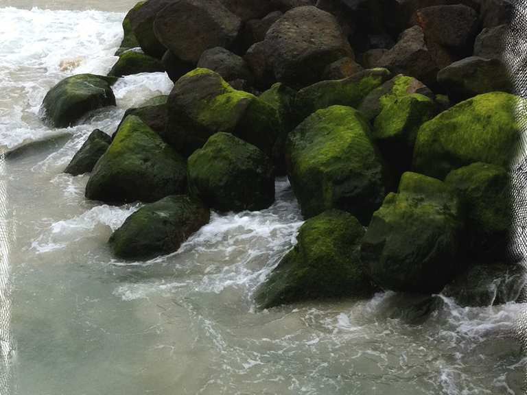 Santa Maria Pier Routes for Walking and Hiking | Komoot