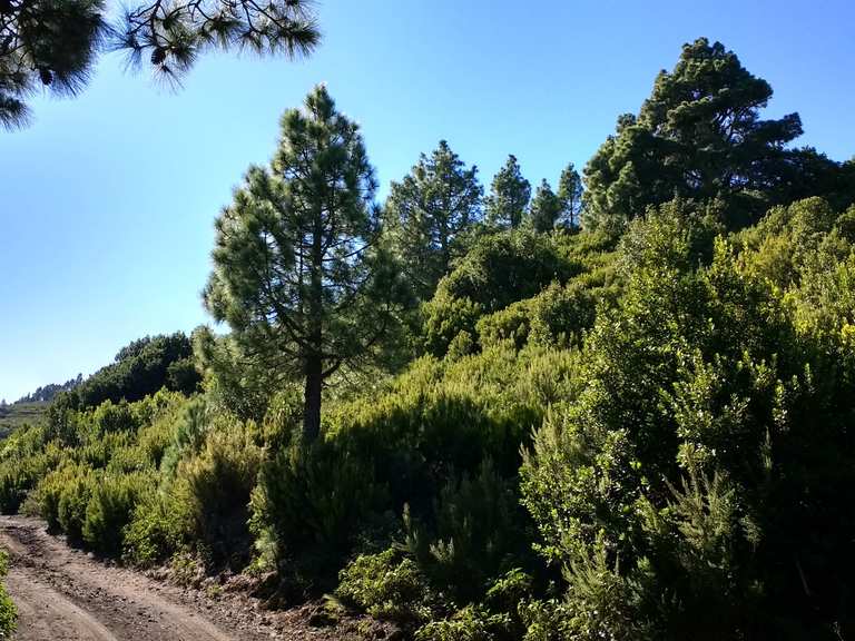 Fayal-Brezal - Routes for Walking and Hiking | Komoot