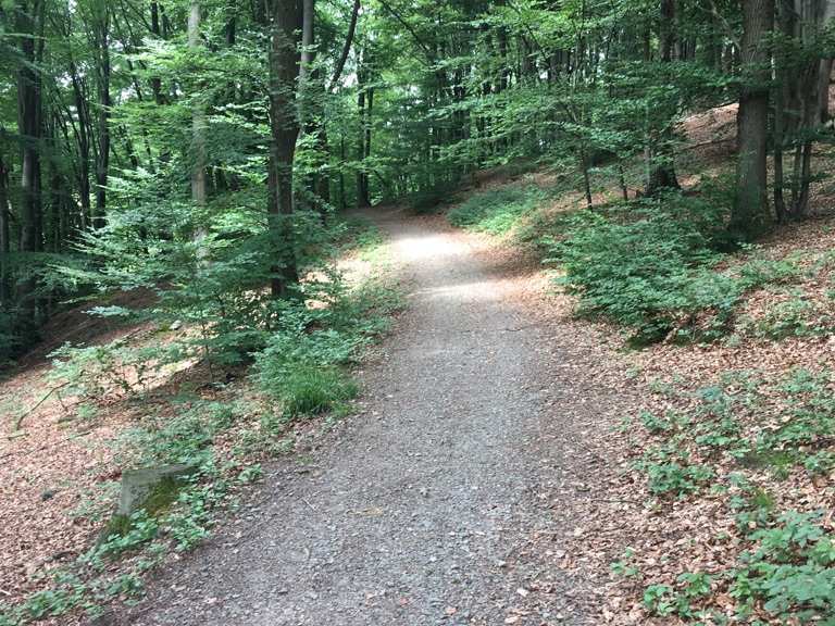 Beautiful path - Routes for Walking and Hiking | Komoot