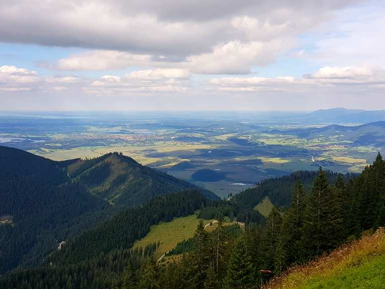 Laber Berg Routes for Walking and Hiking | Komoot