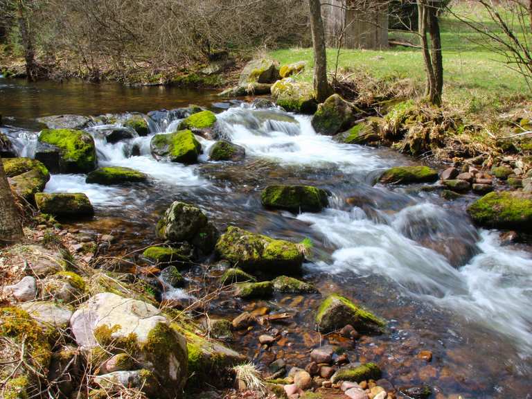 Eyach Wasserwegle: Wanderungen und Rundwege | komoot