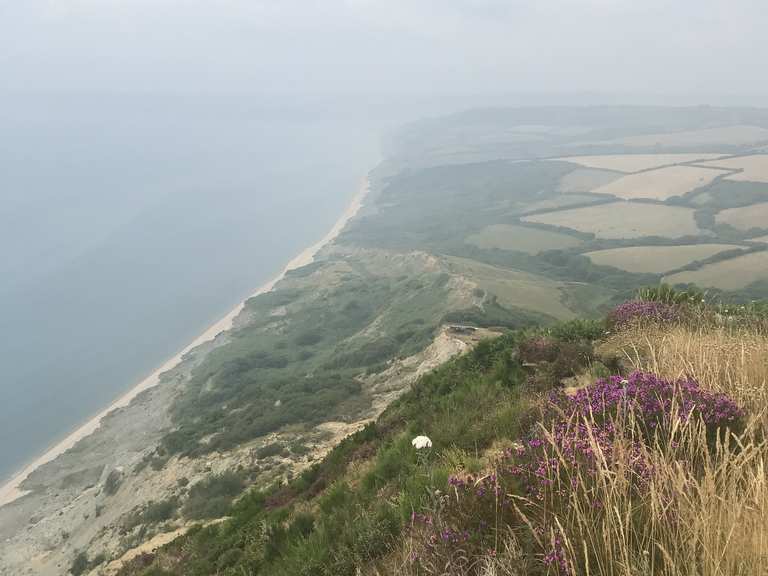 Golden Cap Routes for Walking and Hiking | Komoot