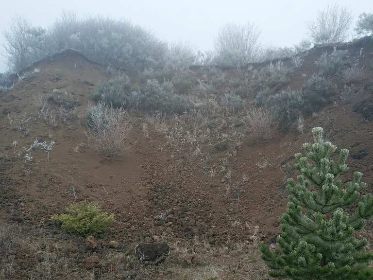 Vulkanerlebnispark Mosenberg bei Bettenfeld Routes for Walking and ...