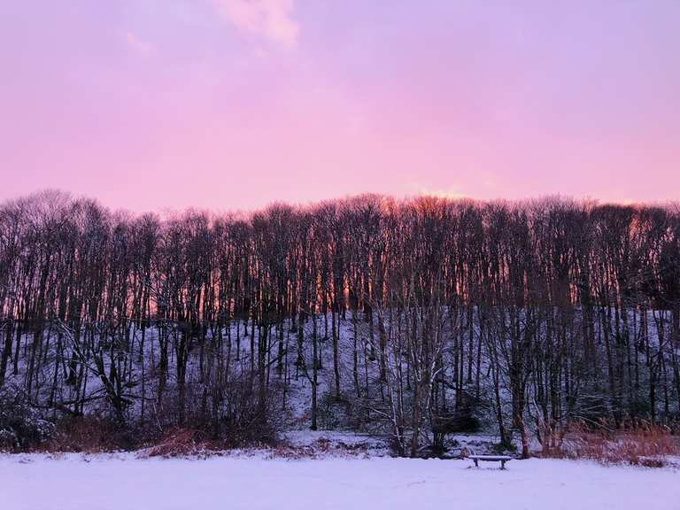Almondell Suspension Bridge - Cycle Routes and Map | Komoot