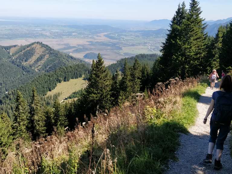 Laber Berg Routes for Walking and Hiking | Komoot
