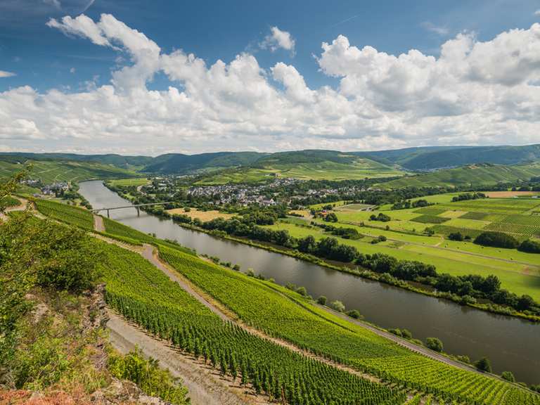 Brauneberg - Mountain Bike Trails & Tracks | Komoot