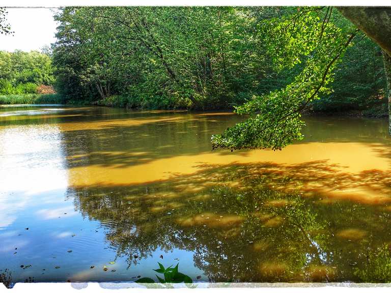 Annasee: Wanderungen und Rundwege | komoot