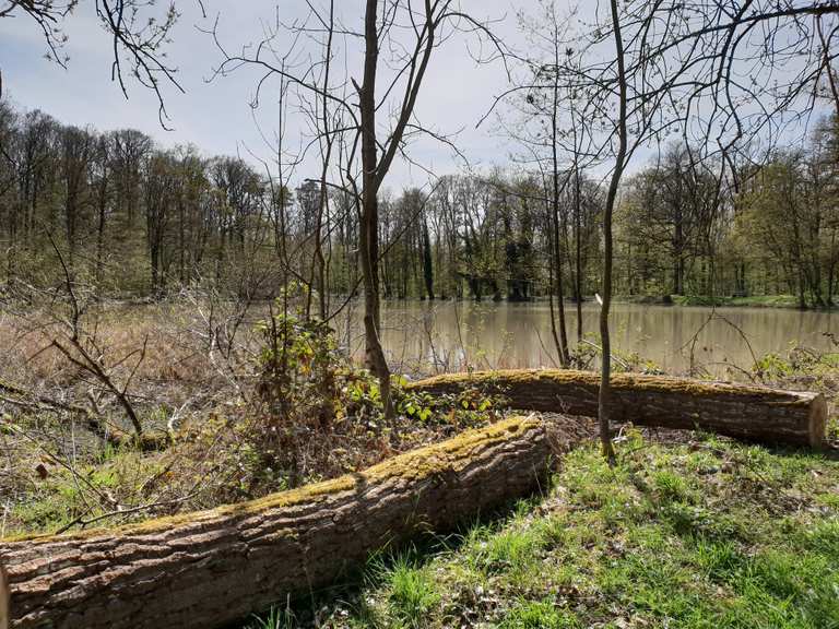 Annasee Routes for Walking and Hiking | Komoot