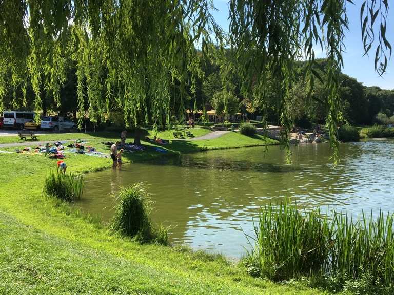 Elsenz See: Mountainbike-Touren und -Trails | komoot